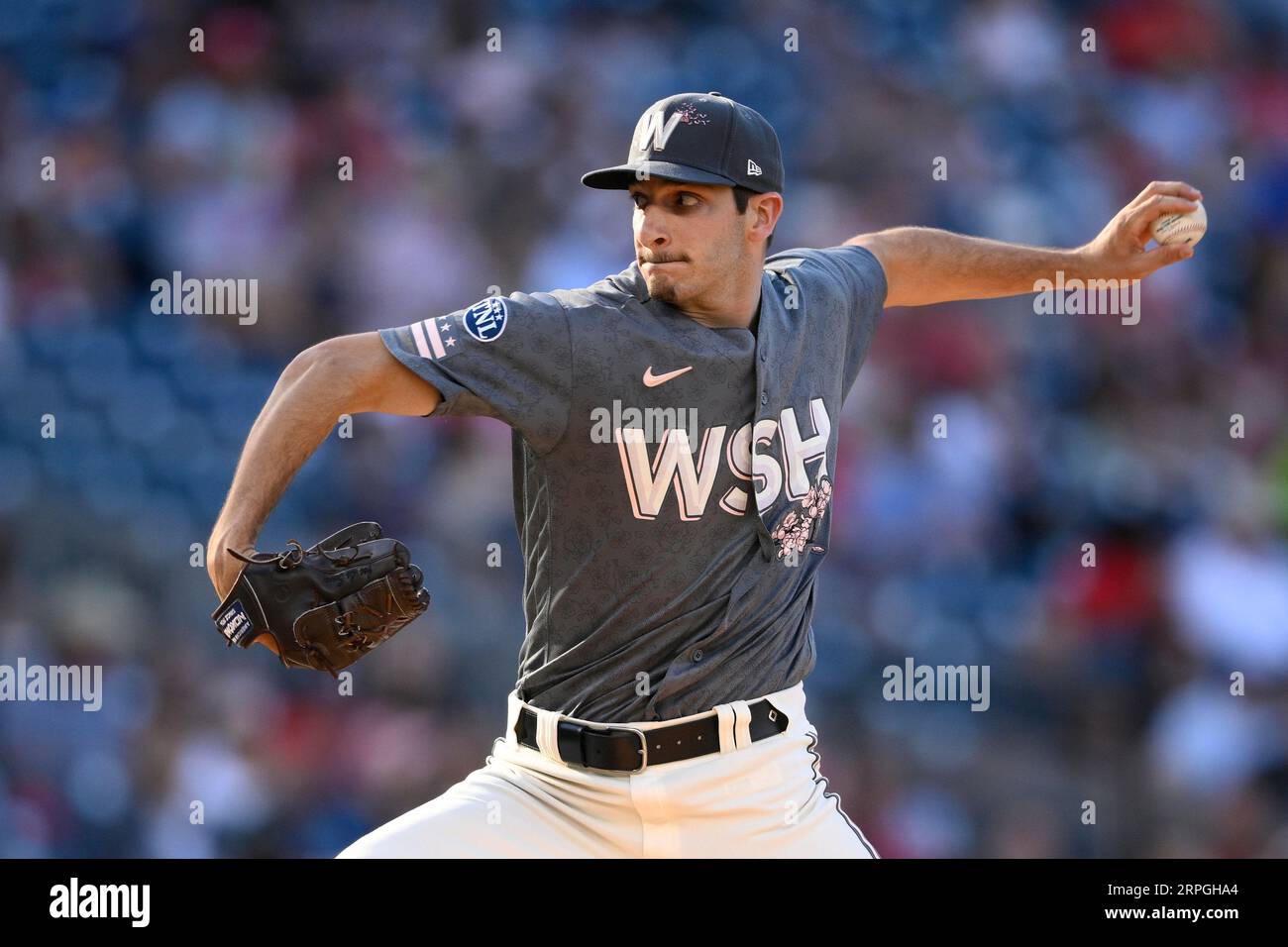 Washington Nationals relief pitcher Joe La Sorsa in action during a ...