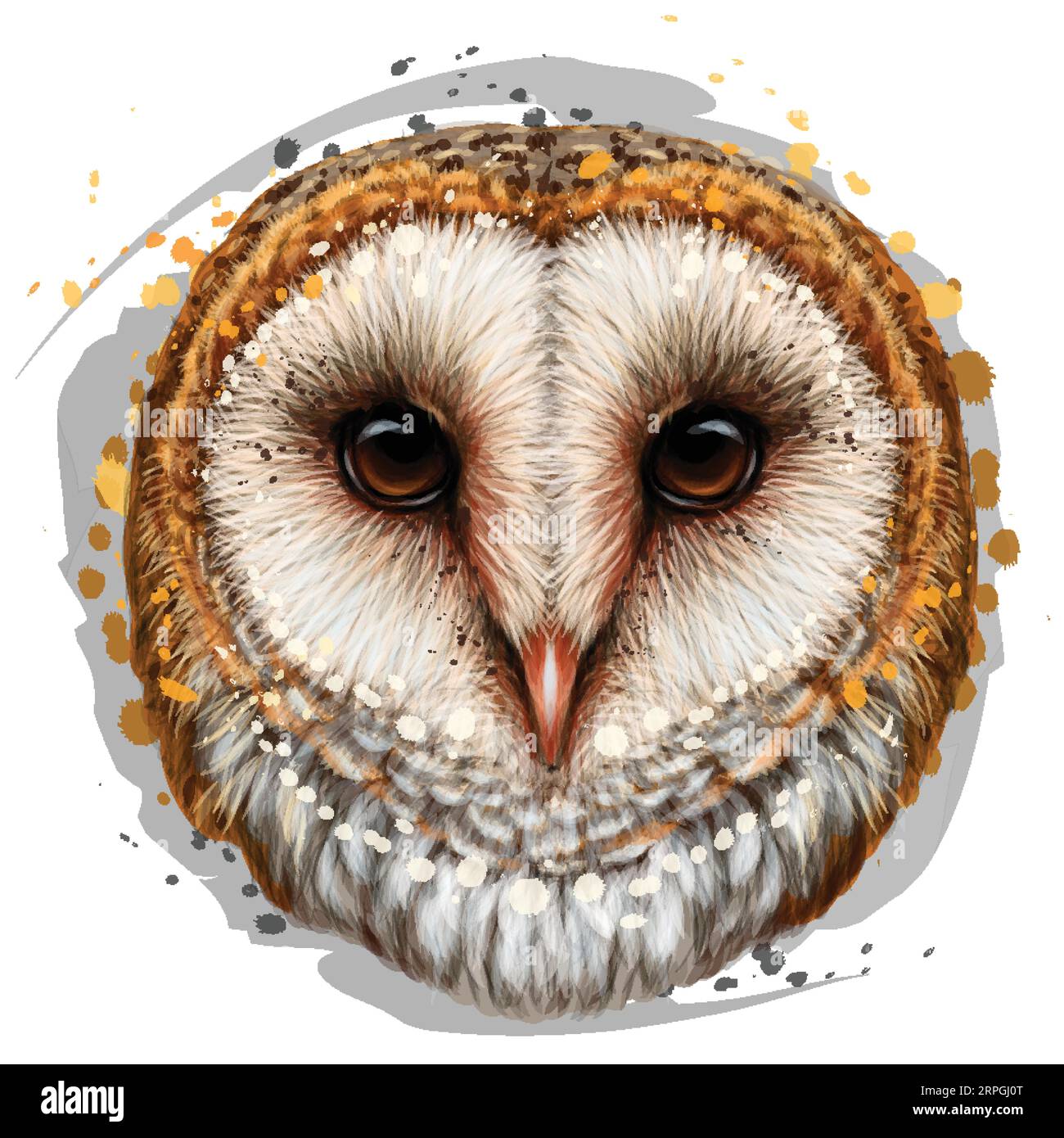 Barn owl forest Stock Vector Images - Alamy