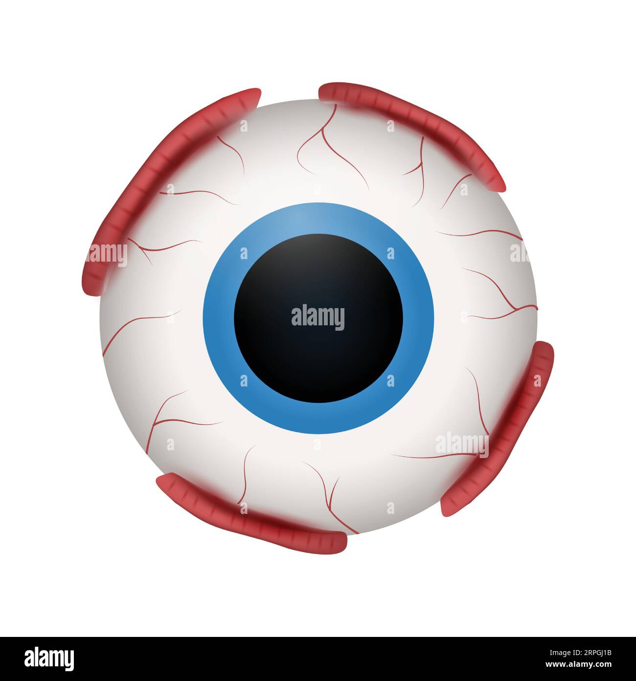 System optician Stock Vector Images - Alamy