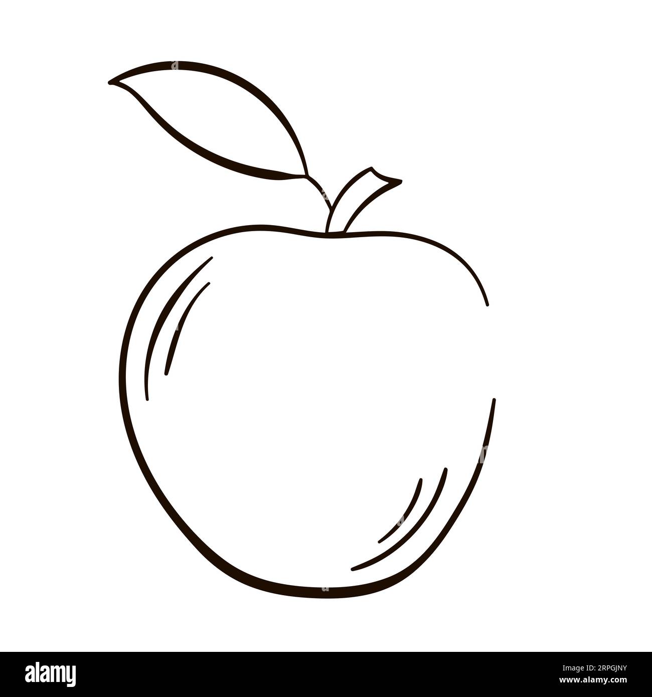 Apple fruit vector illustration.Hand drawn sketch engraving illustration. Black apple isolated ...
