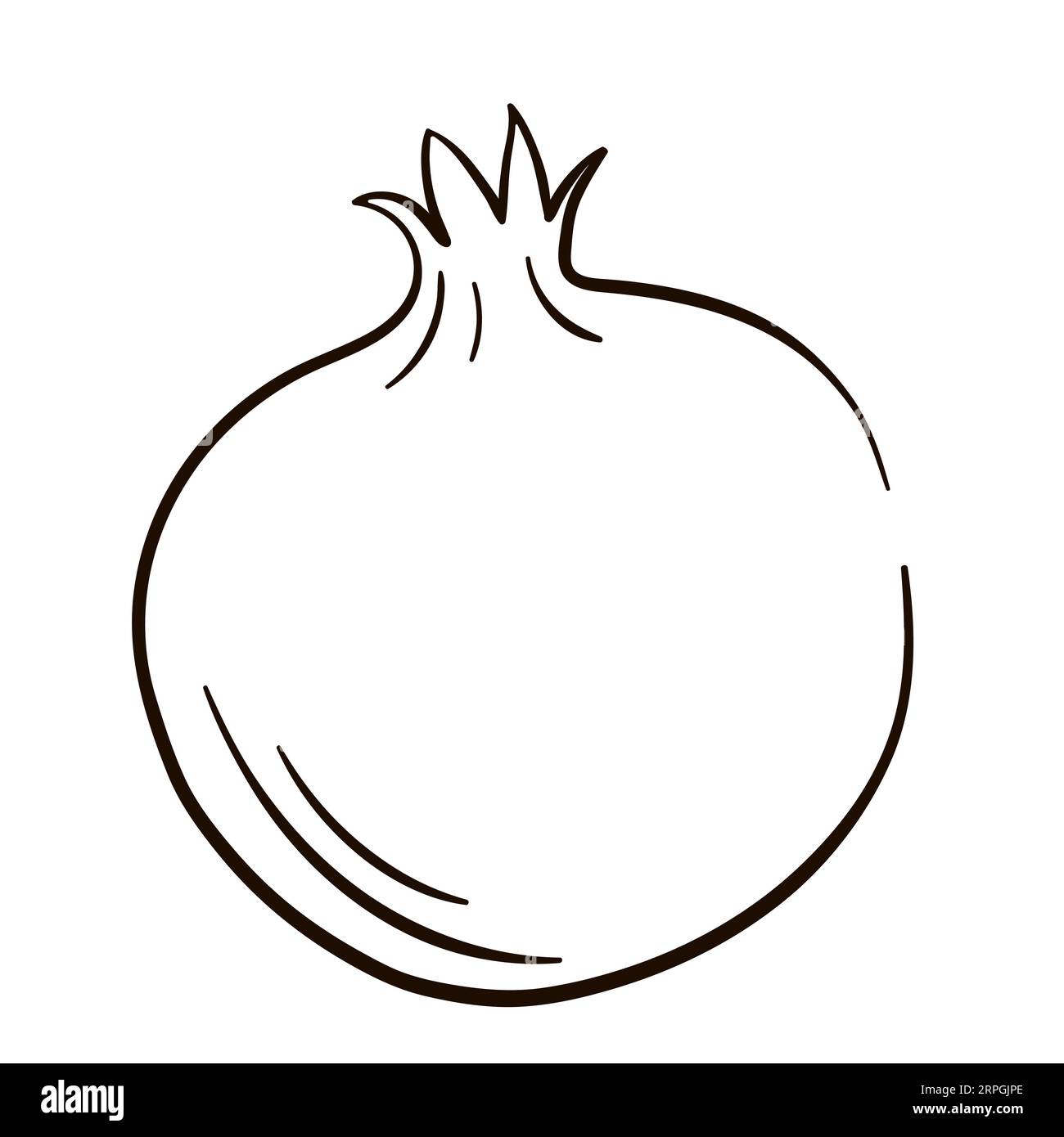 Pomegranate line doodle style. Hand drawn vector illustration isolated ...