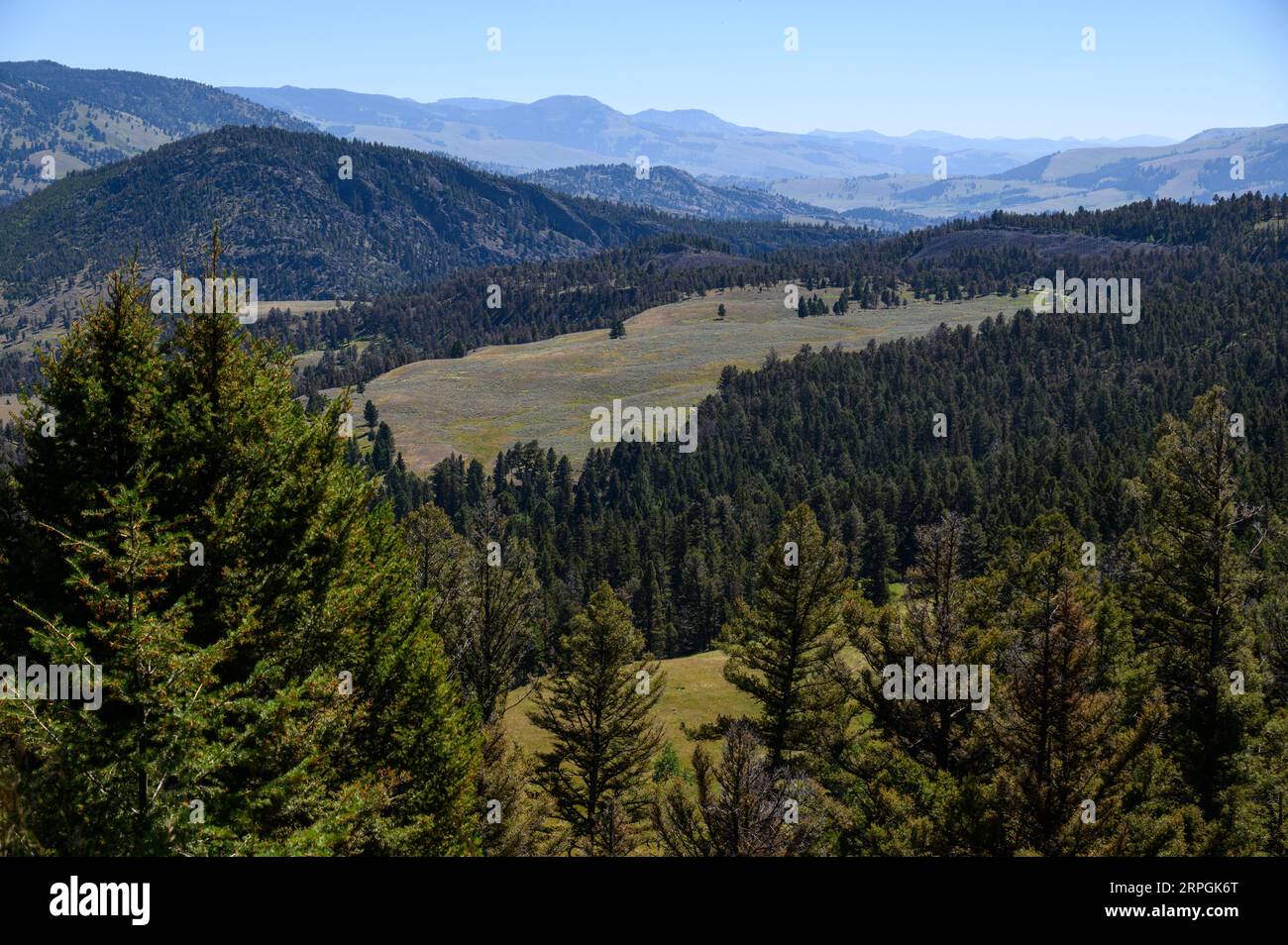 The Yellowstone Valley seen at the height of summer in Yellowstone ...