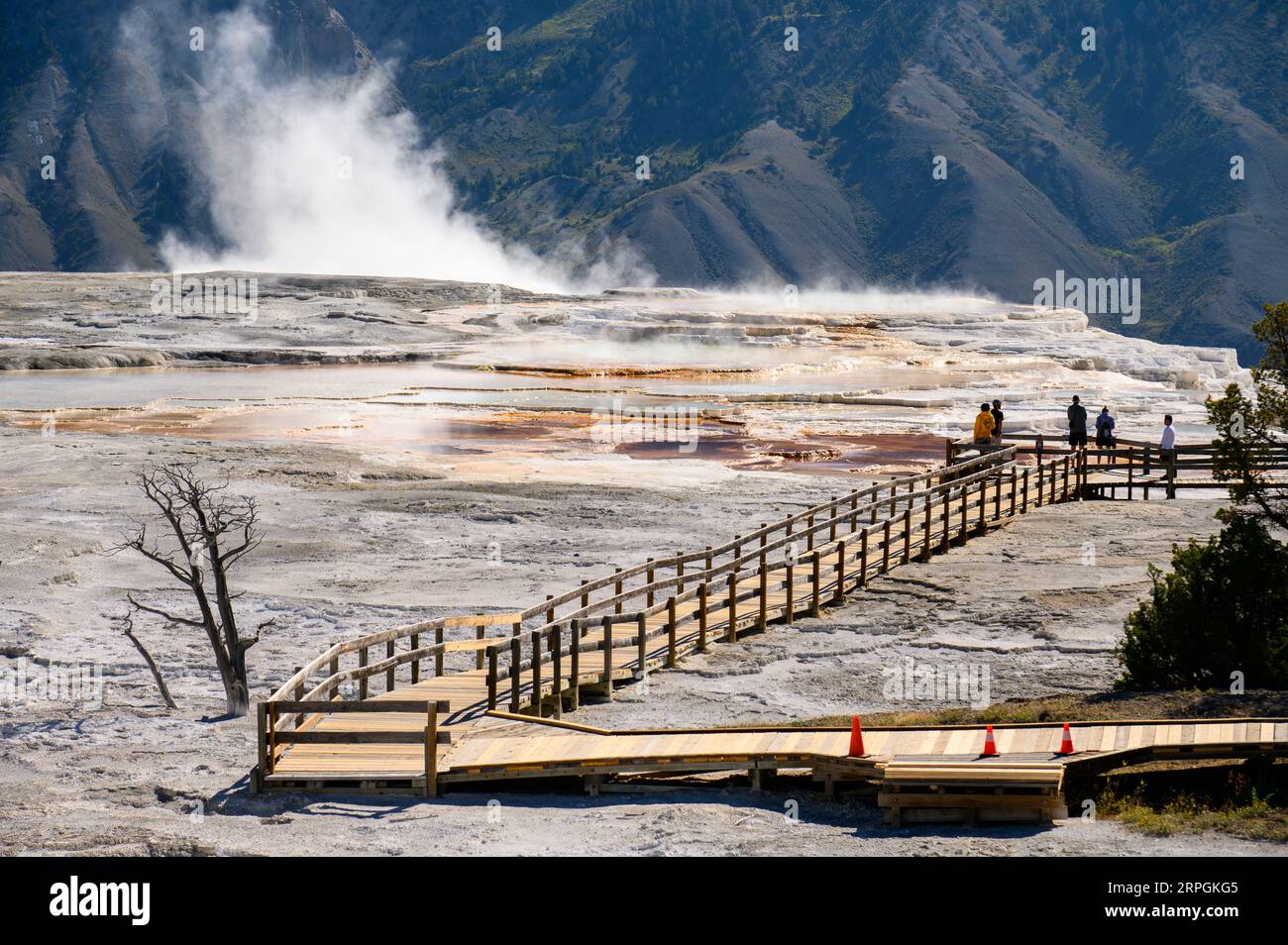 Mammoth Hot Springs in Yellowstone National Park, near Gardiner in ...