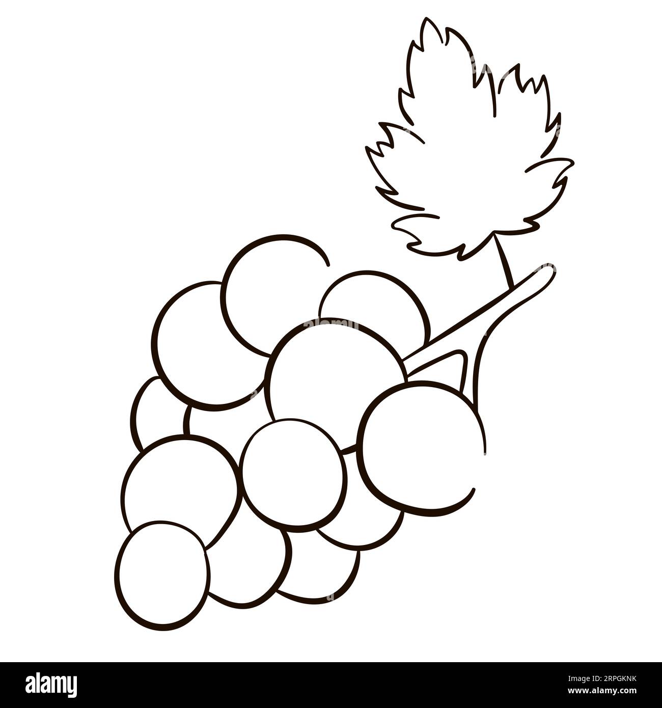 Grape icon line art style. Line drawing healthy organic grapes for ...