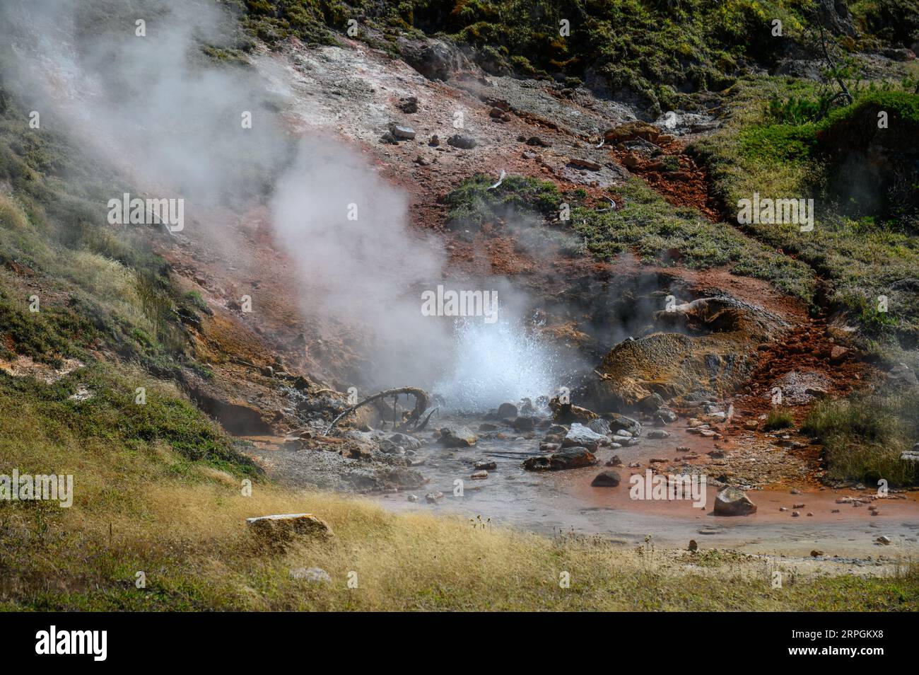 Artists paint pots in yellowstone hi-res stock photography and images ...