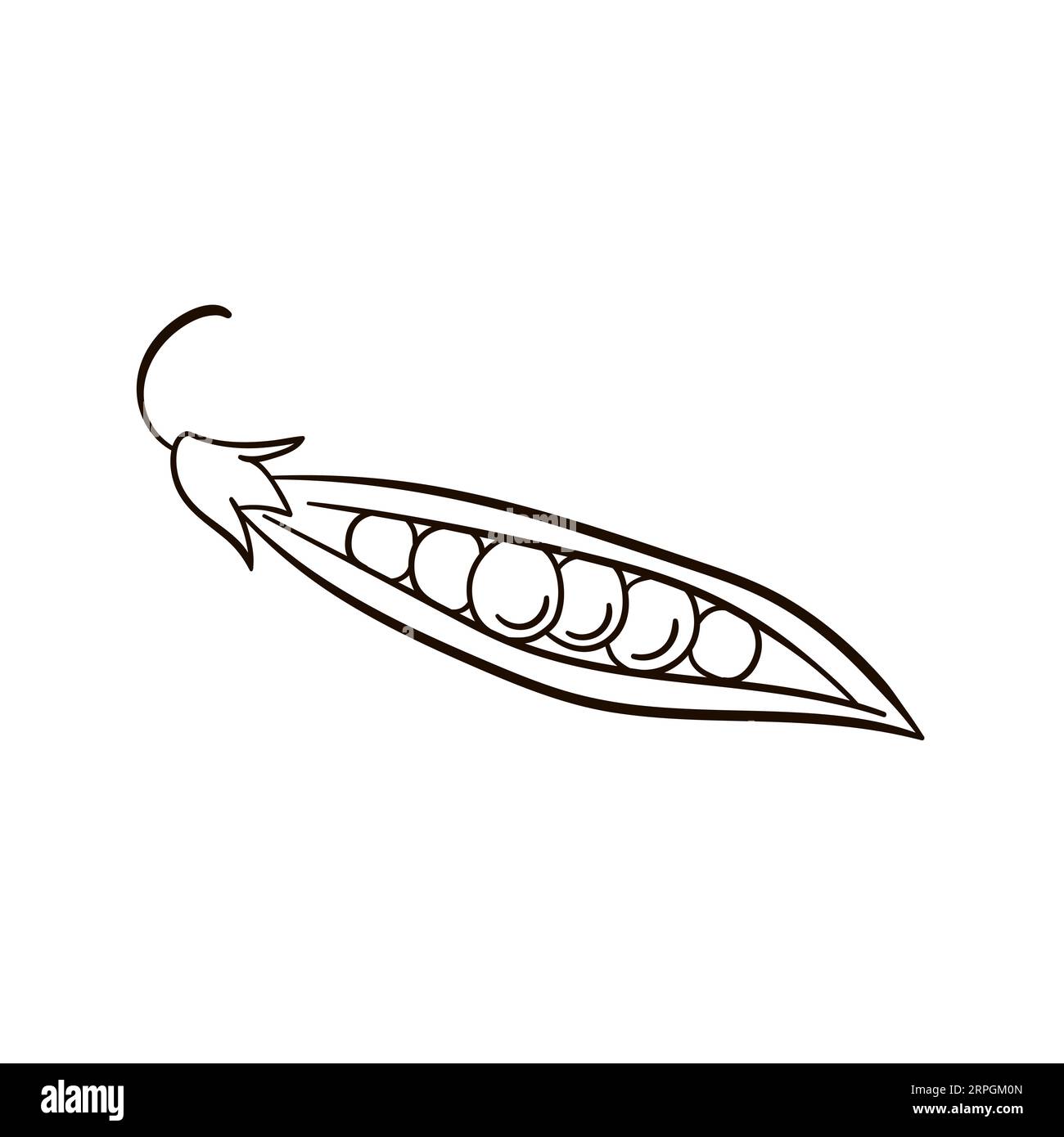 Pea plant drawing hi-res stock photography and images - Alamy