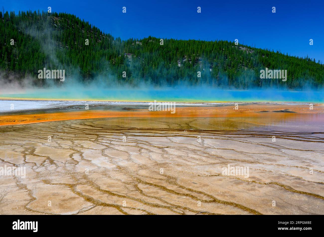 The vibrant colours of Grand Prismatic Spring in Yellowstone National ...