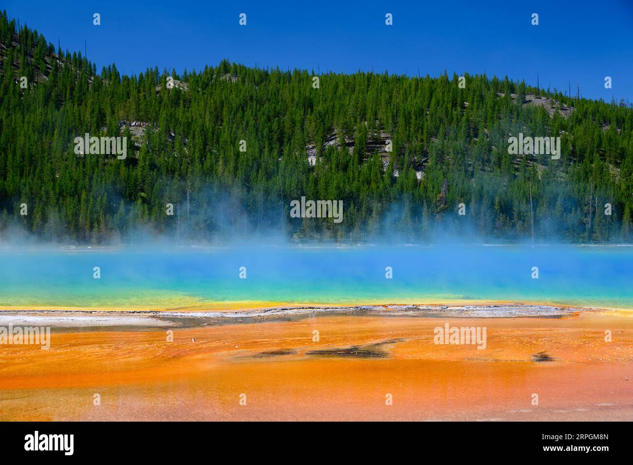 The vibrant colours of Grand Prismatic Spring in Yellowstone National ...