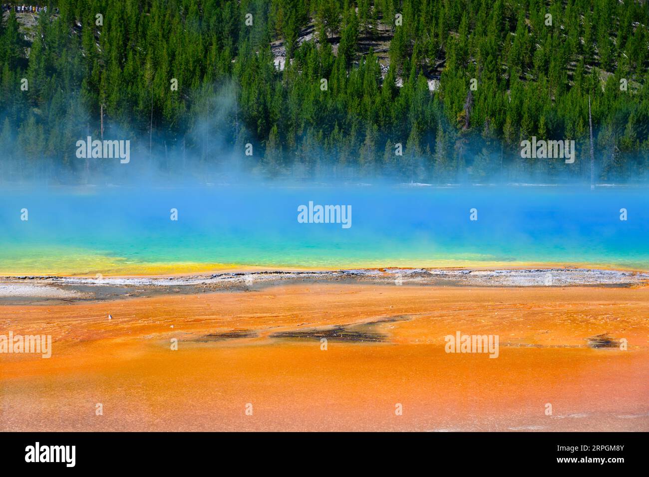 The vibrant colours of Grand Prismatic Spring in Yellowstone National ...