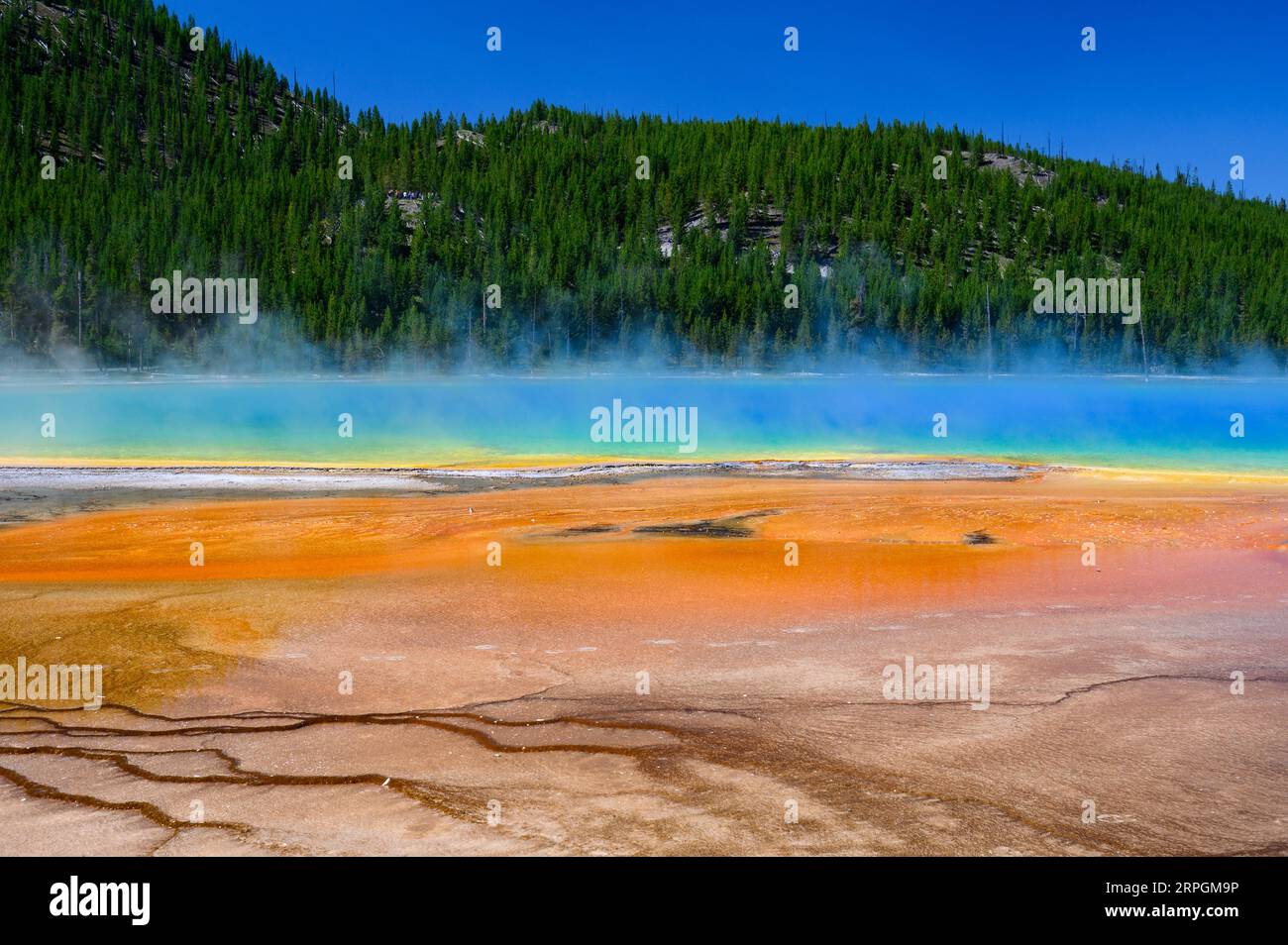 The vibrant colours of Grand Prismatic Spring in Yellowstone National ...