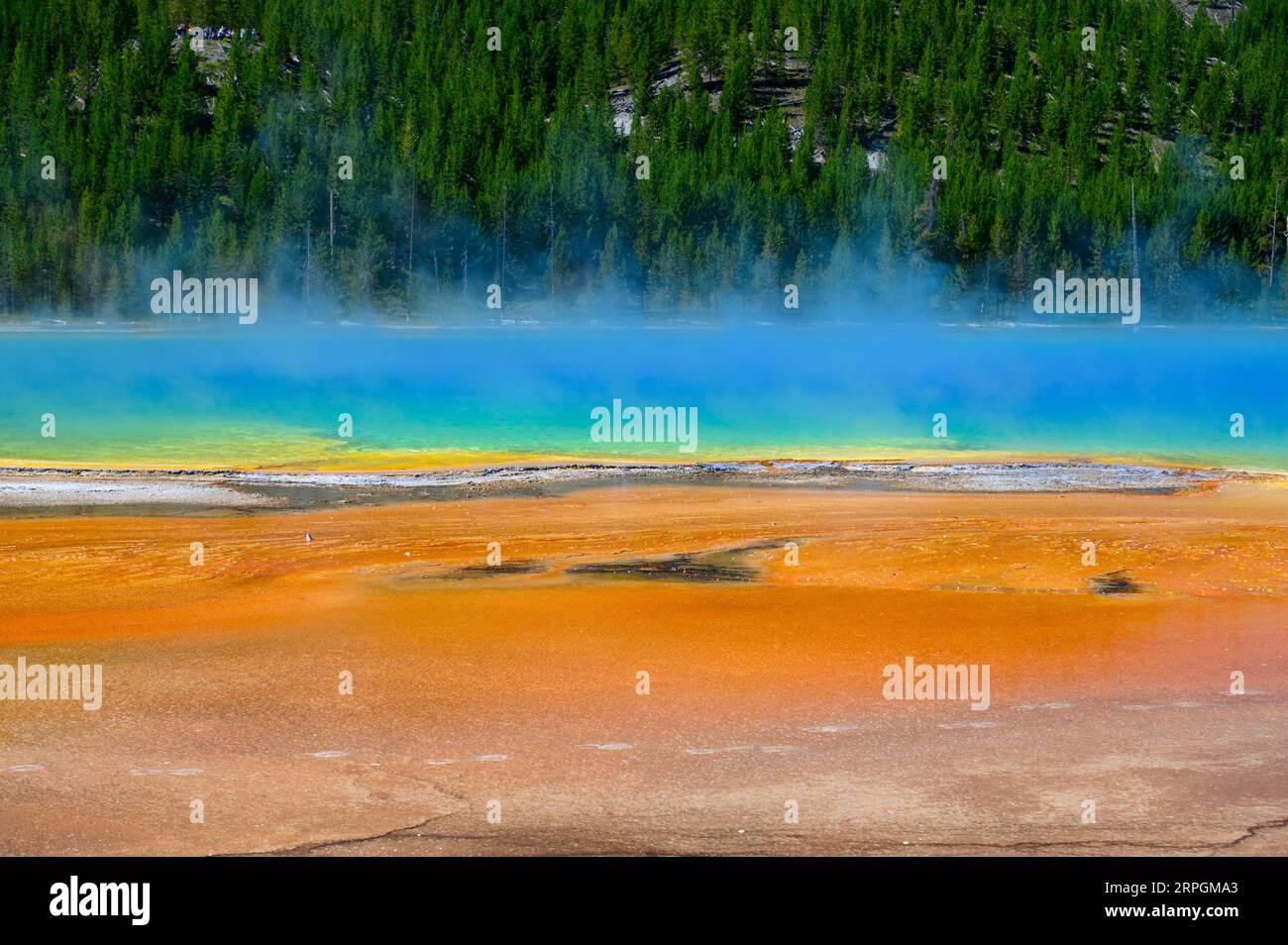 The vibrant colours of Grand Prismatic Spring in Yellowstone National ...