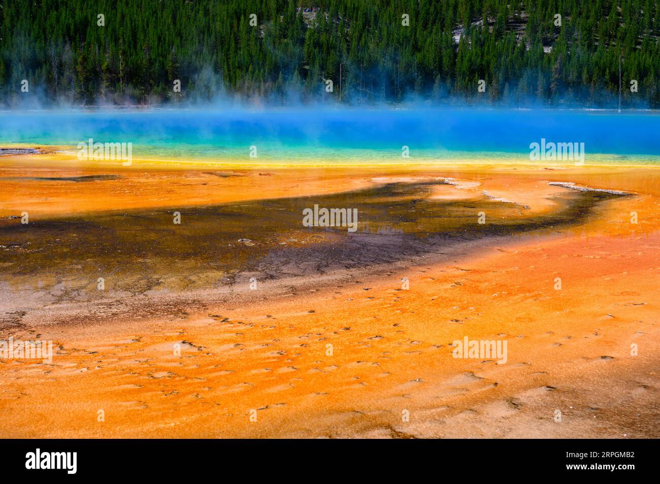The vibrant colours of Grand Prismatic Spring in Yellowstone National ...