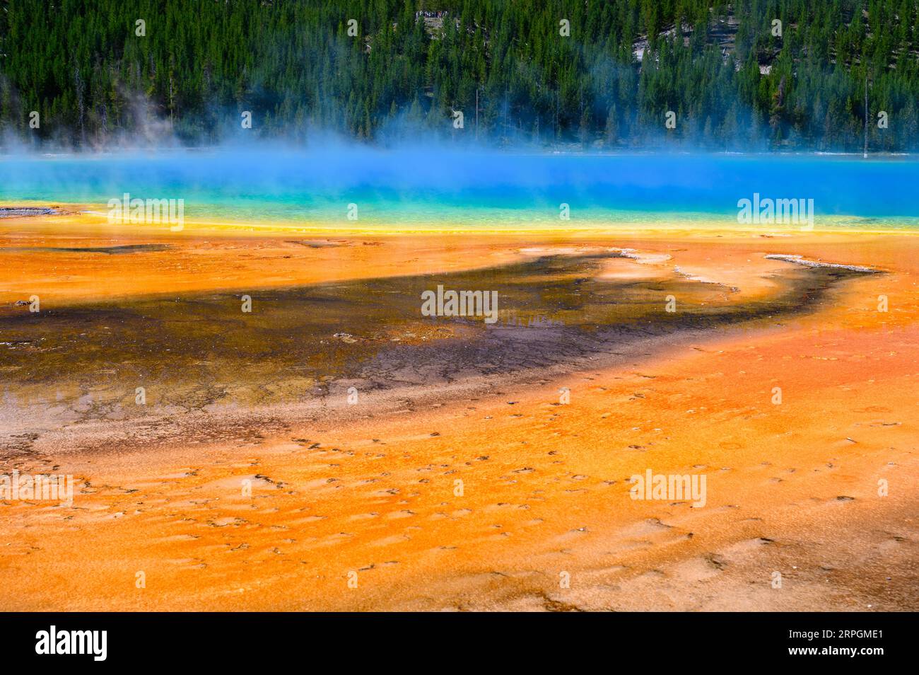 The vibrant colours of Grand Prismatic Spring in Yellowstone National ...