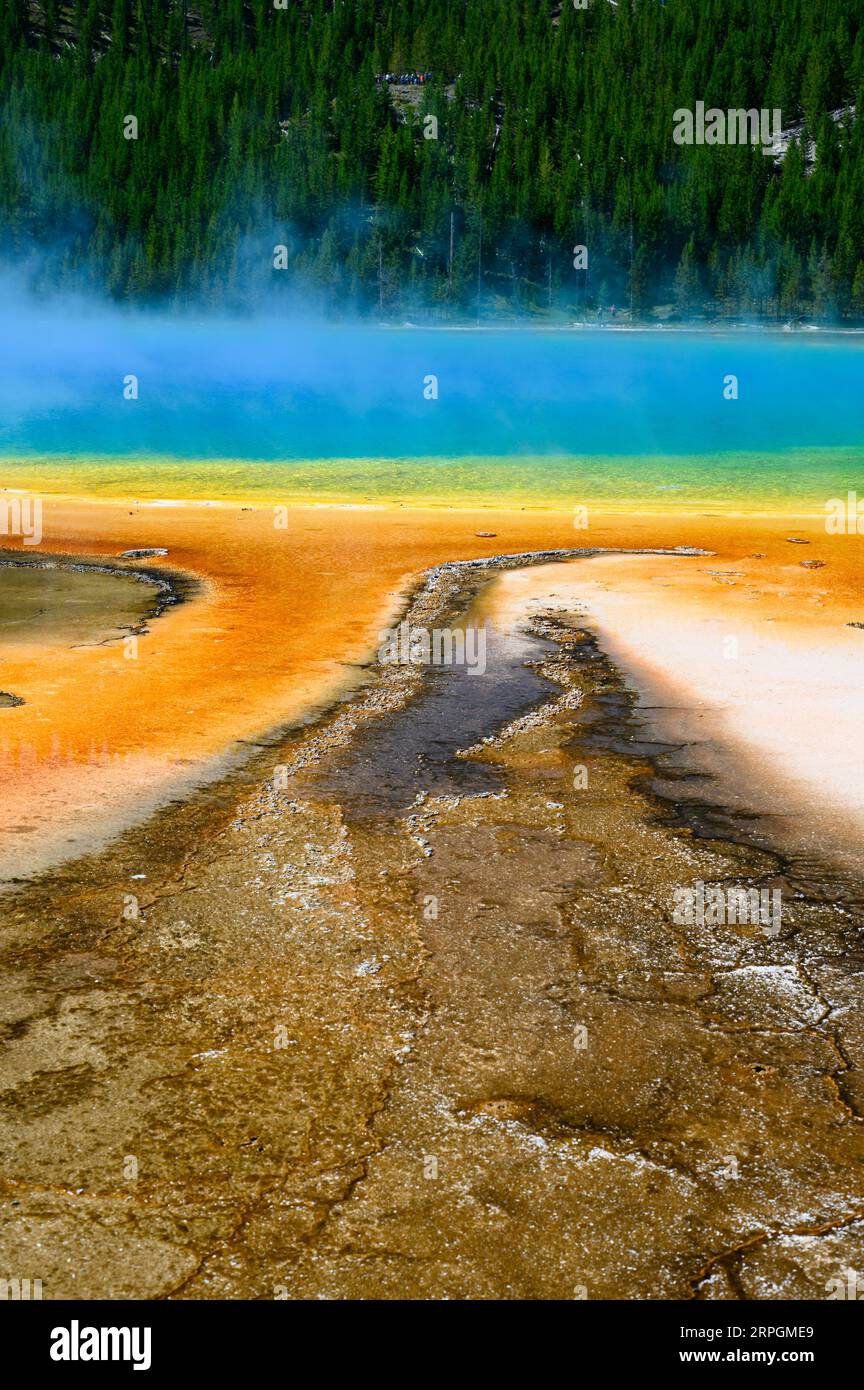 The vibrant colours of Grand Prismatic Spring in Yellowstone National ...