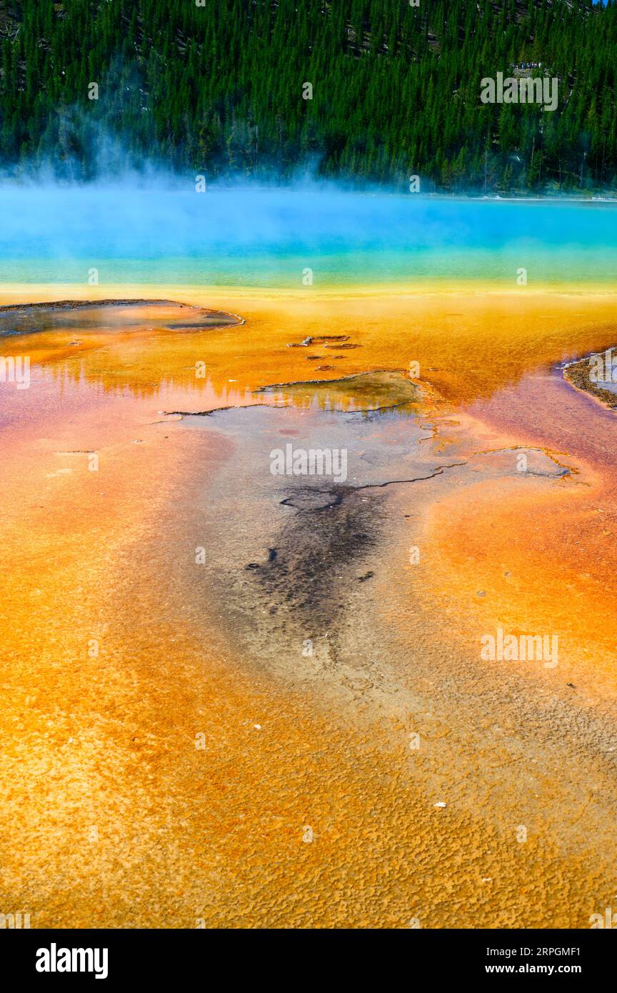 The vibrant colours of Grand Prismatic Spring in Yellowstone National ...