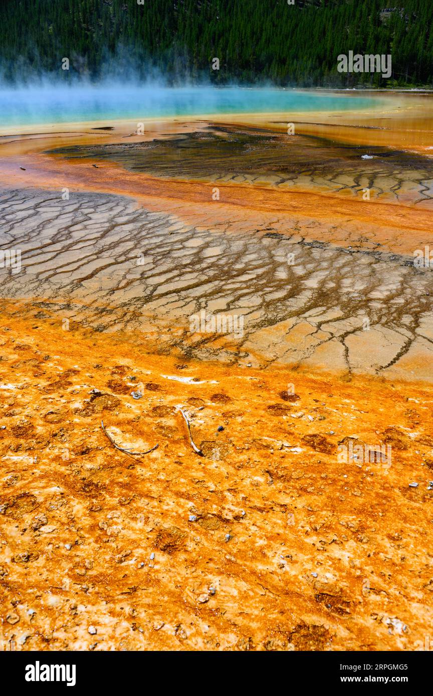The vibrant colours of Grand Prismatic Spring in Yellowstone National ...