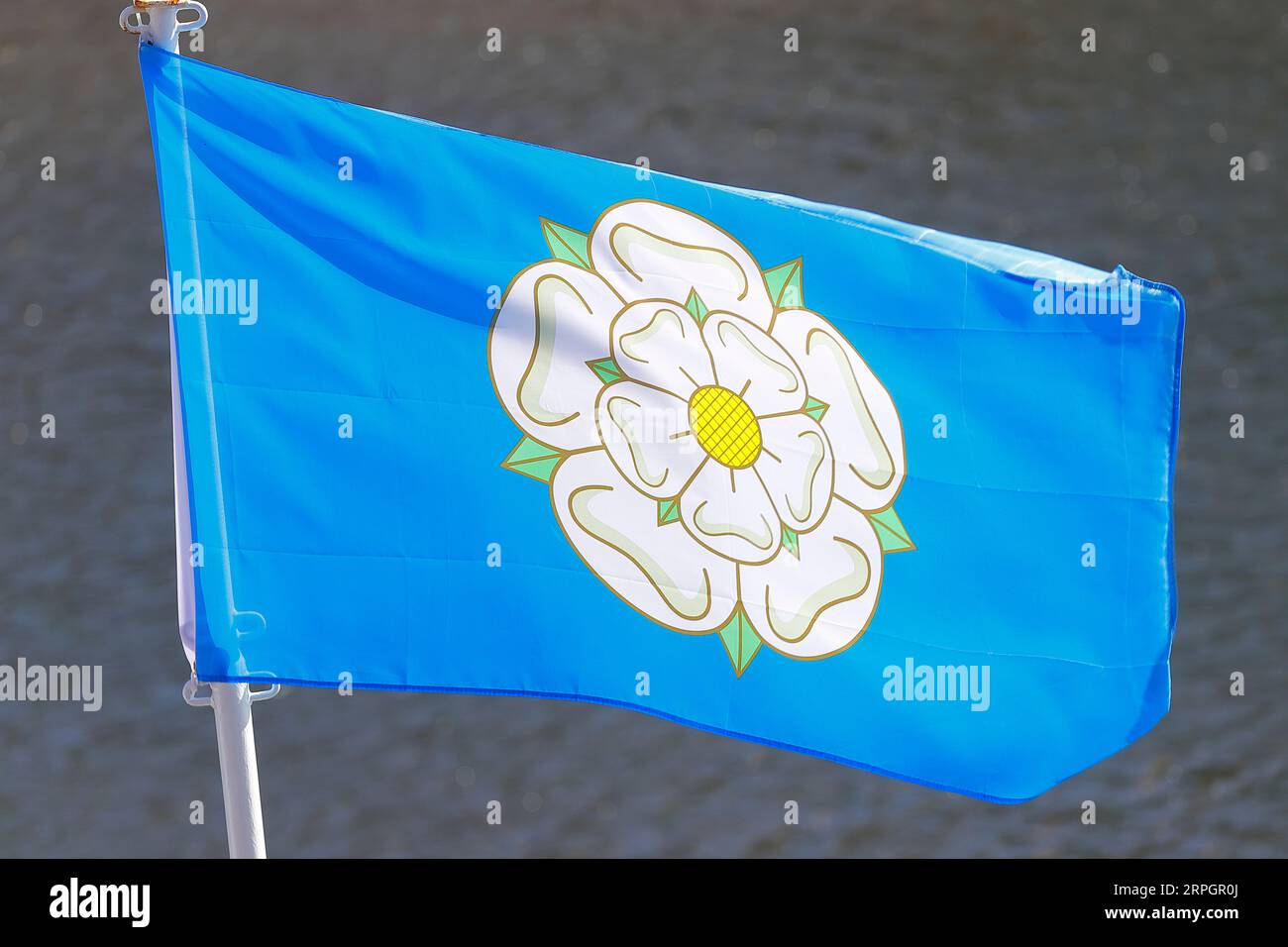 The Yorkshire county flag blowing in the wind on Whitby harbouor, North ...
