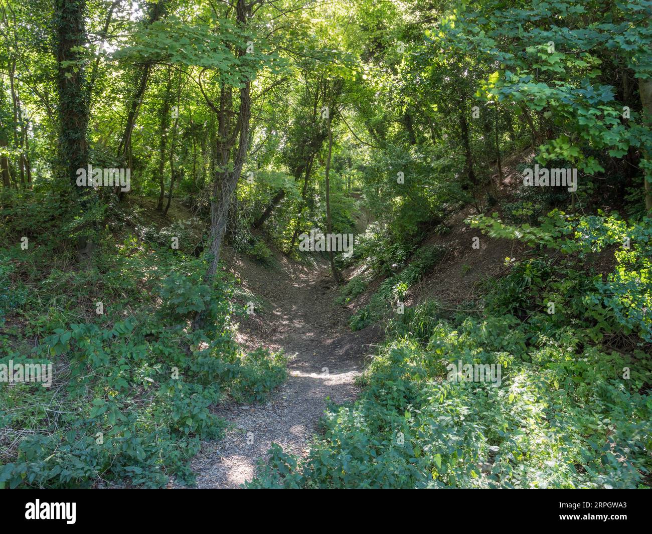 Moat and bailey hi-res stock photography and images - Alamy