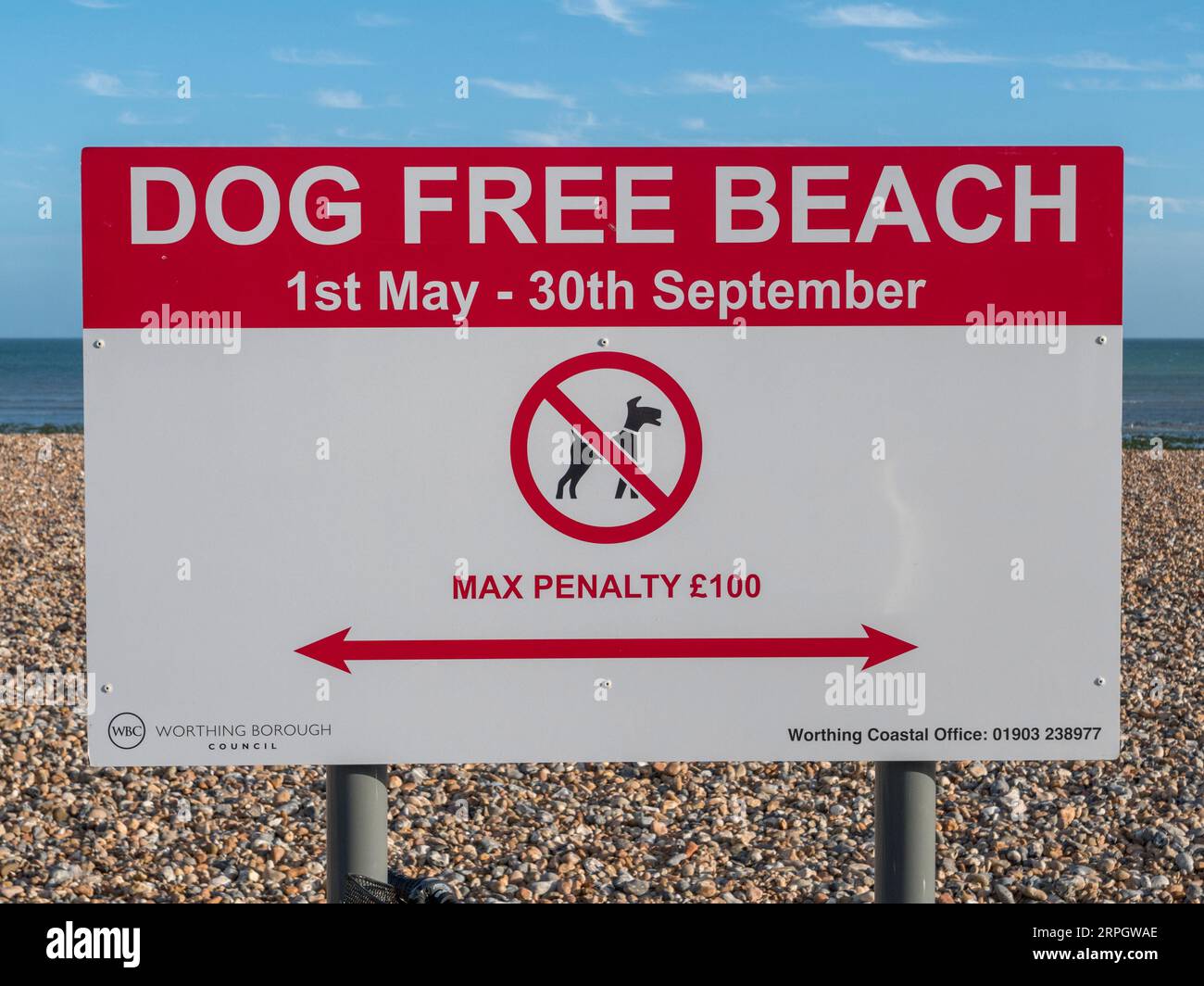 No Dogs Allowed Beaches