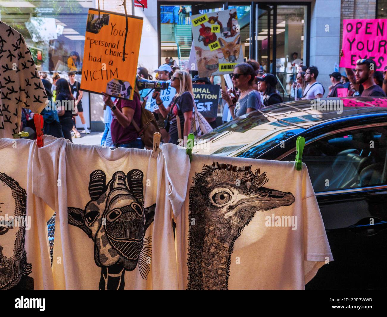 Peta animal testing hi-res stock photography and images - Alamy