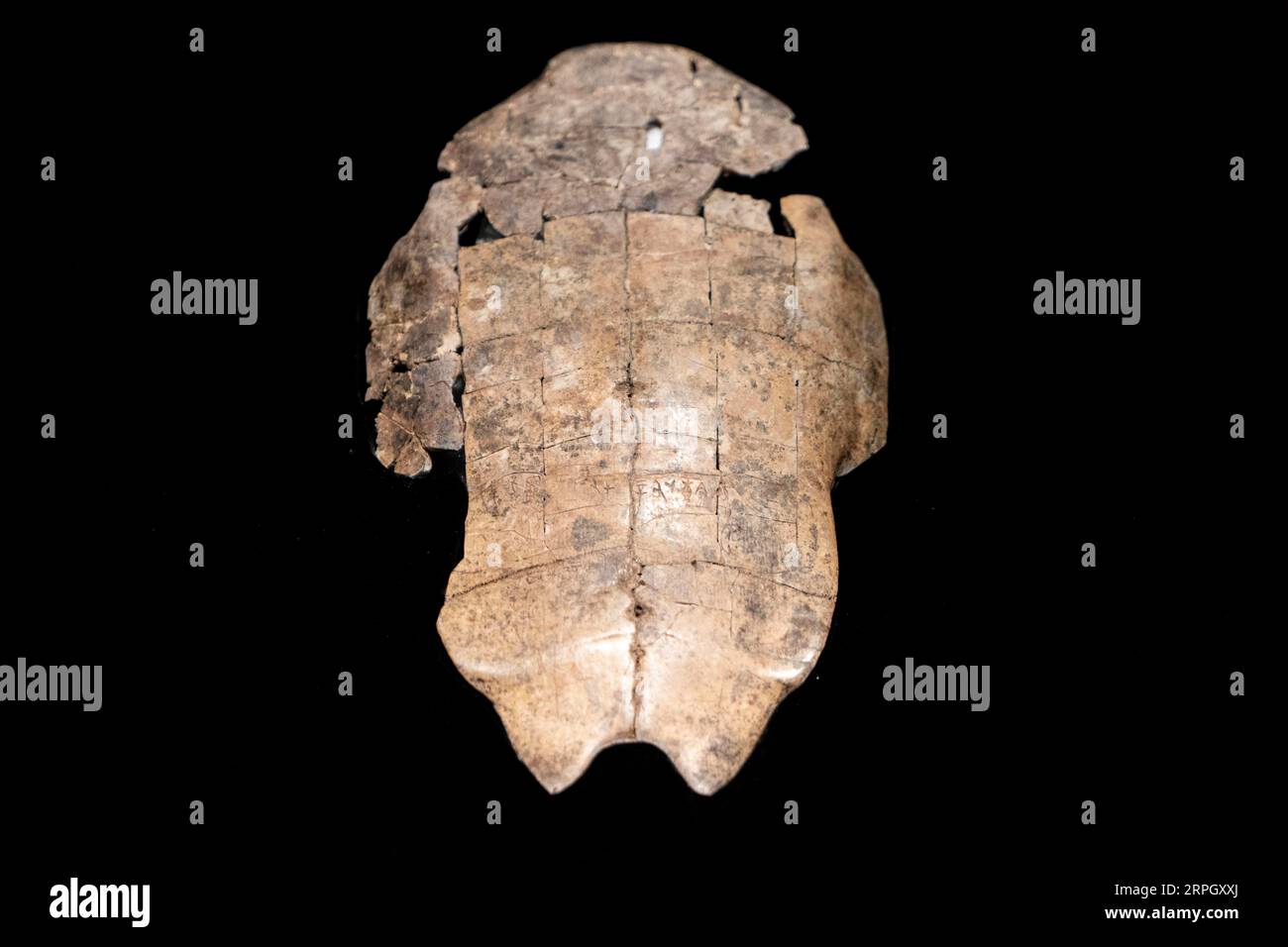 Old chinese inscription bone hi-res stock photography and images - Alamy