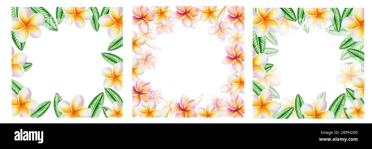 Watercolor set of frames realistic tropical illustration of plumeria ...