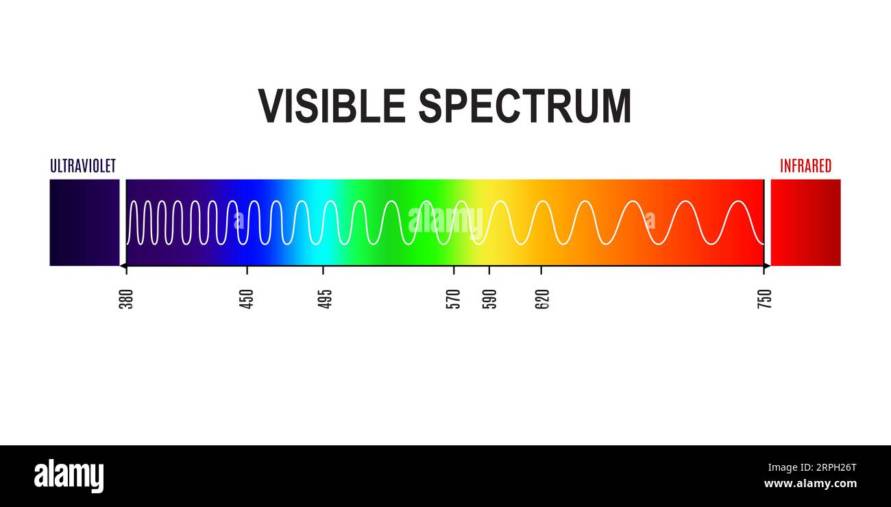 Wavelength, visible light spectrum wave from ultraviolet to infrared ... Wavelength, visible light spectrum wave from ultraviolet to infrared ...