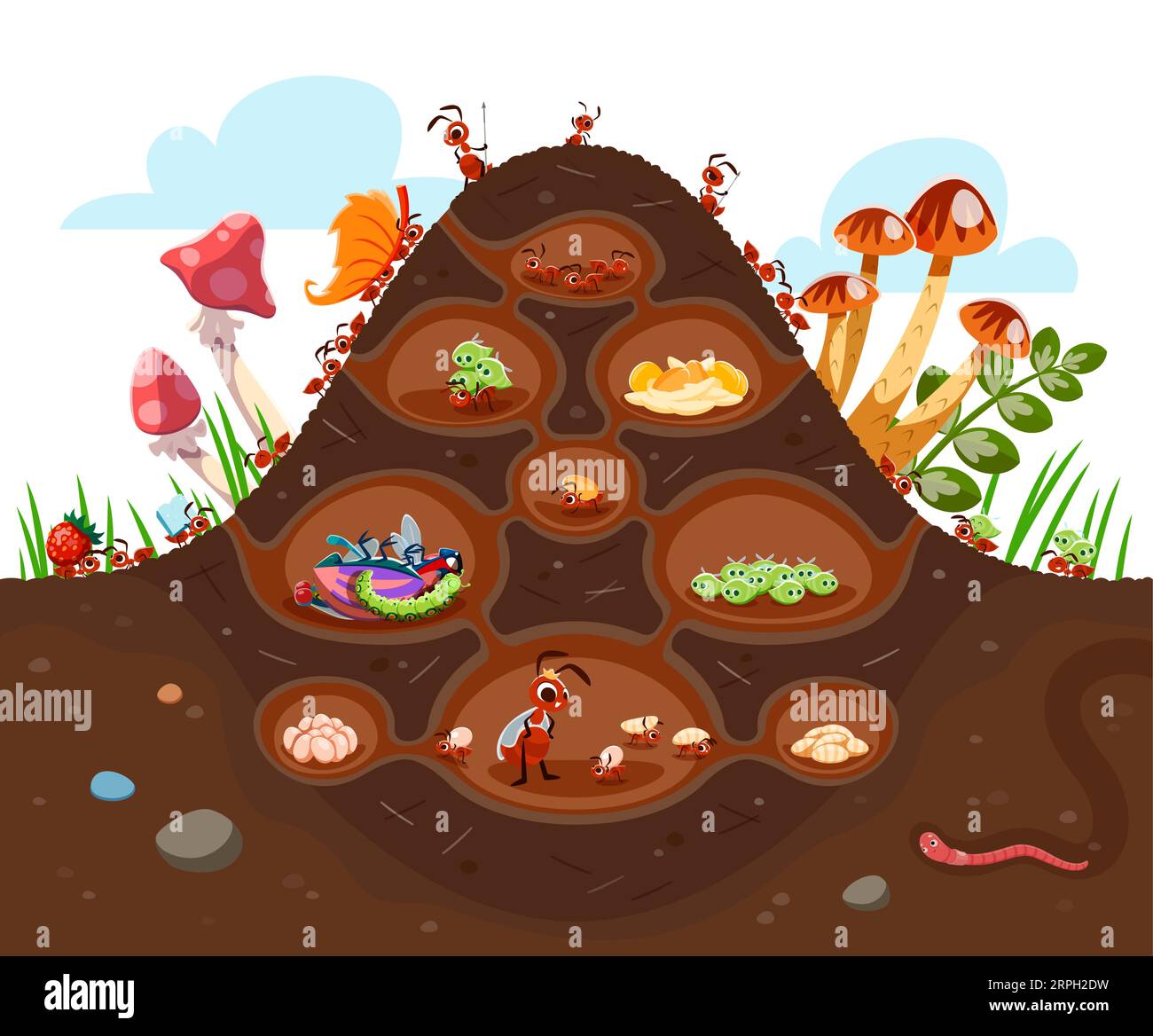Ant hill cross section Stock Vector Images - Alamy
