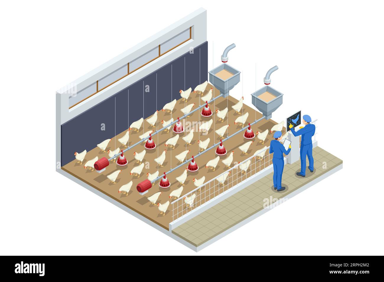 Bird flu poultry farm Cut Out Stock Images & Pictures - Alamy