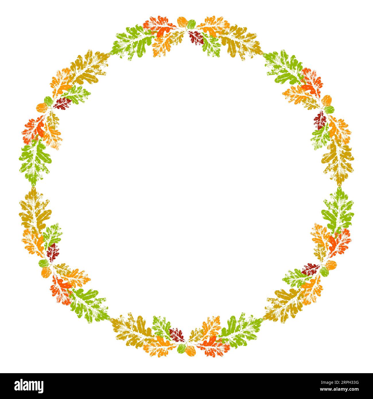 Spring folage hi-res stock photography and images - Alamy