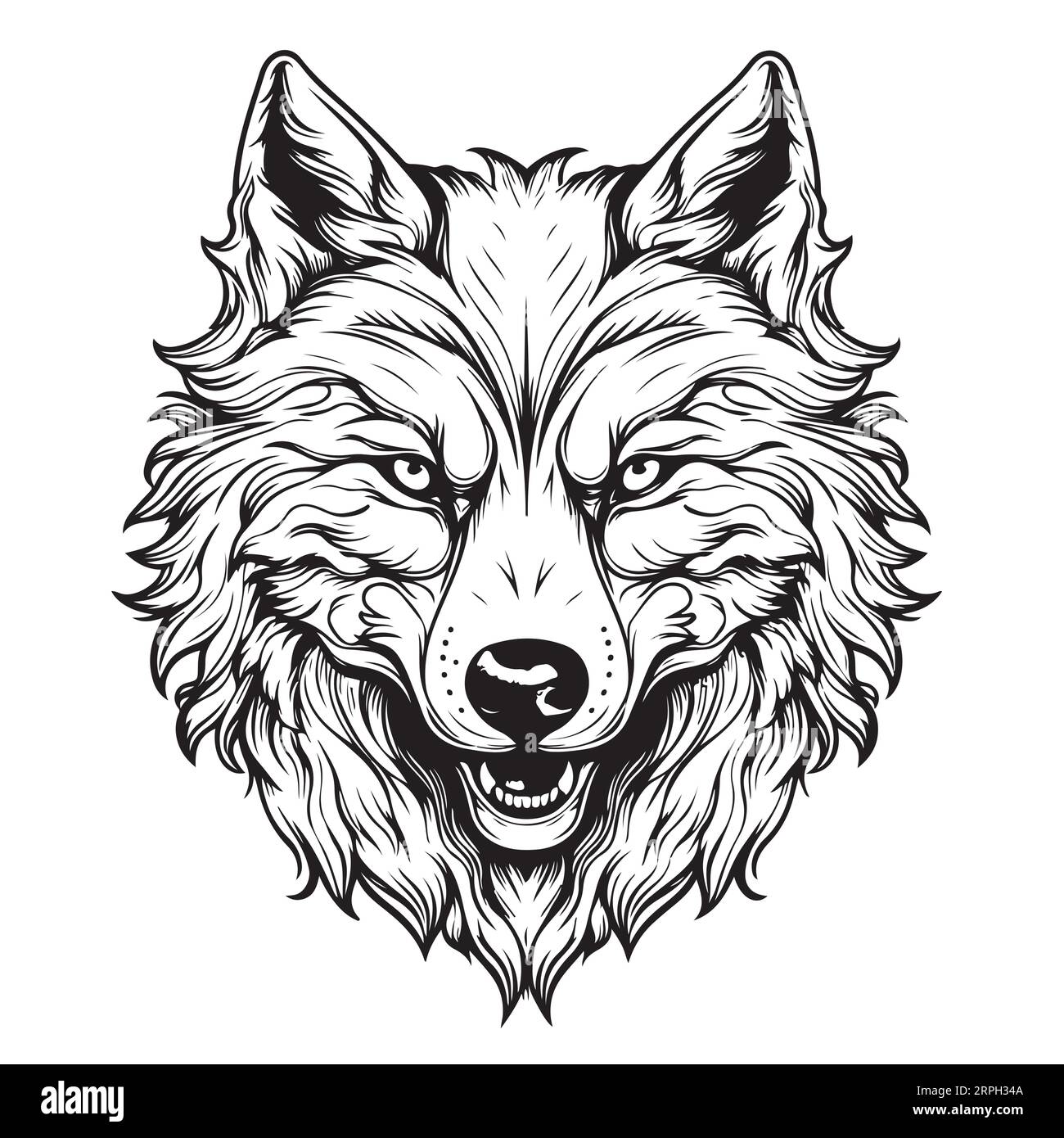 Realistic Cartoon Images Of Animals Cartoon Animal Cute Stock