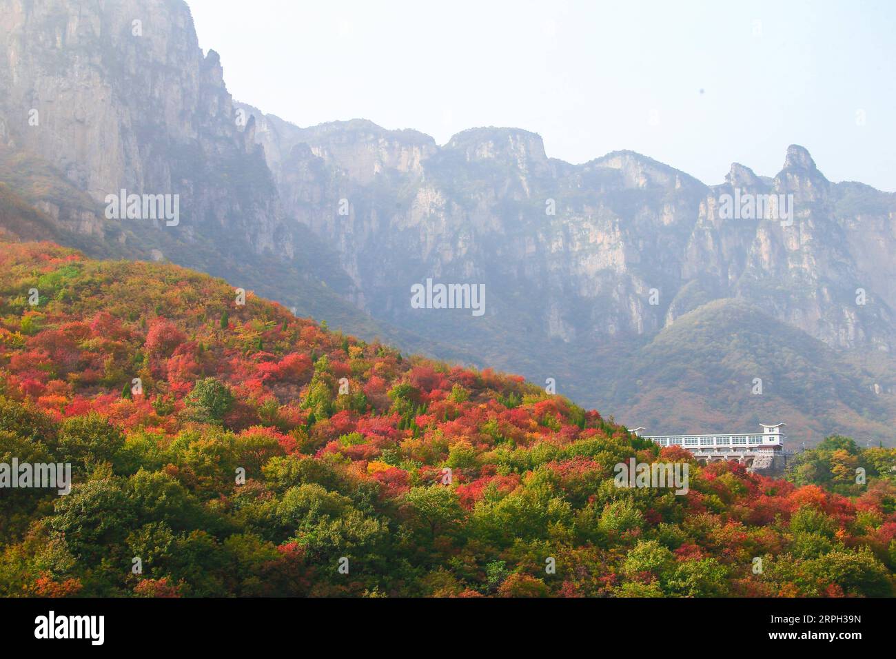 Fengtu County
