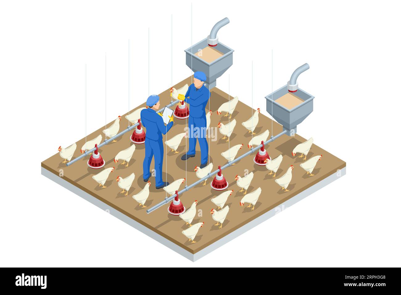 Isometric Indoors Chicken Farm, Chicken Feeding. Poultry Farm Web ...