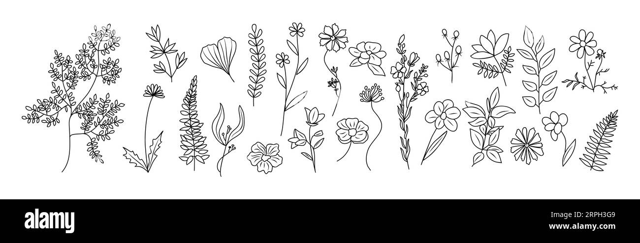 Set of tiny wild flowers and plant line art vector Stock Vector Image ...