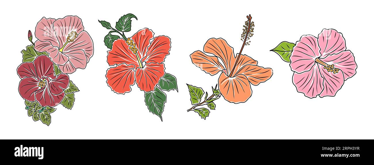 Set of Hibiscus flowers colorful vector isolated Stock Vector Image ...