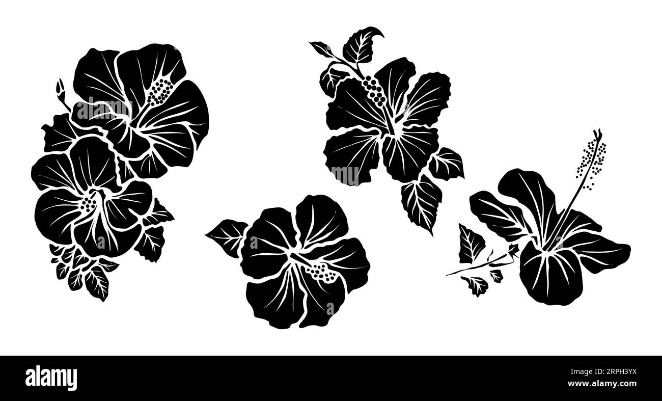 Set Of Tropical Hibiscus Flower Vector Silhouettes Stock Vector Image