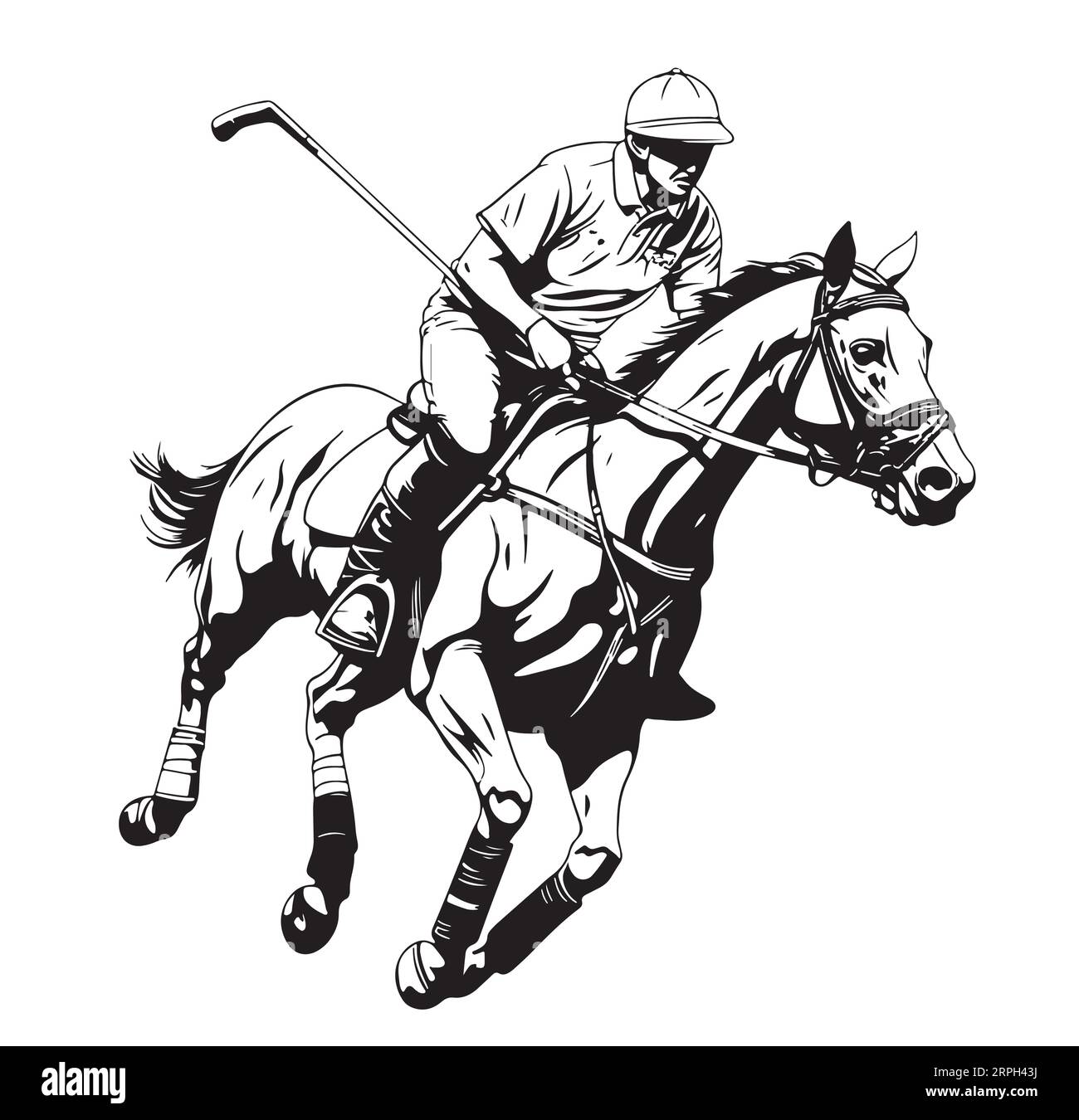 Polo player riding the horse hand drawn sketch Vector illustration ...