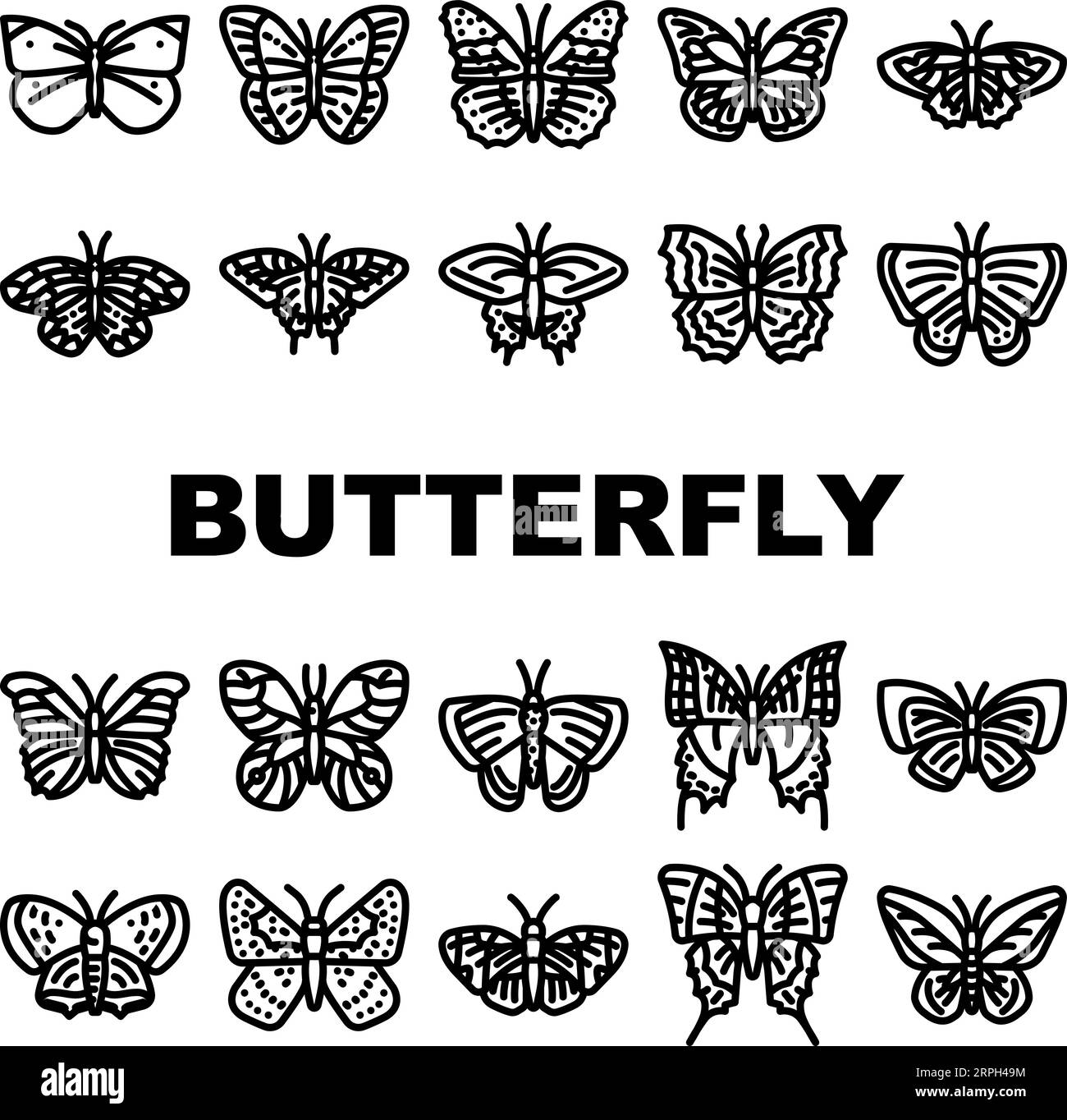 Orange butterfly on yellow flower Black and White Stock Photos & Images ...