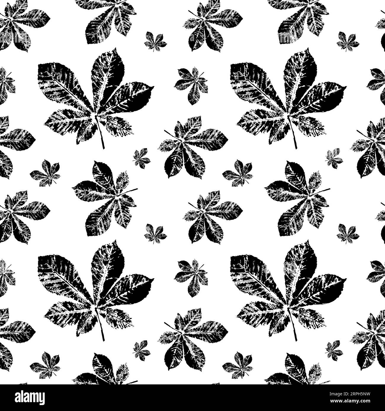 Light chestnut Stock Vector Images - Alamy