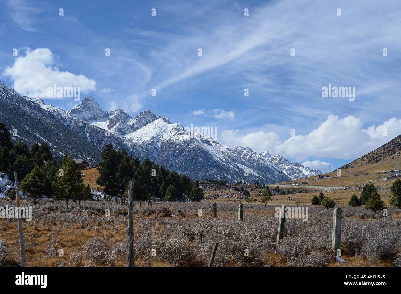 Tangxwenhao hi-res stock photography and images - Alamy