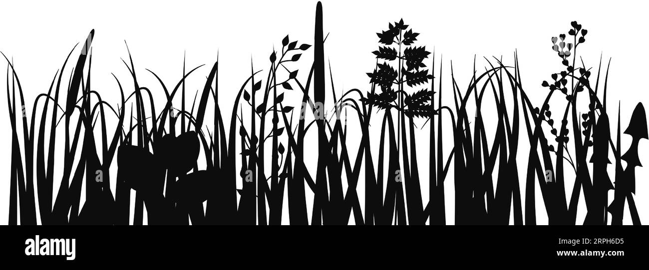 Herbs horizontal border. Meadow botany grass silhouette Stock Vector ...