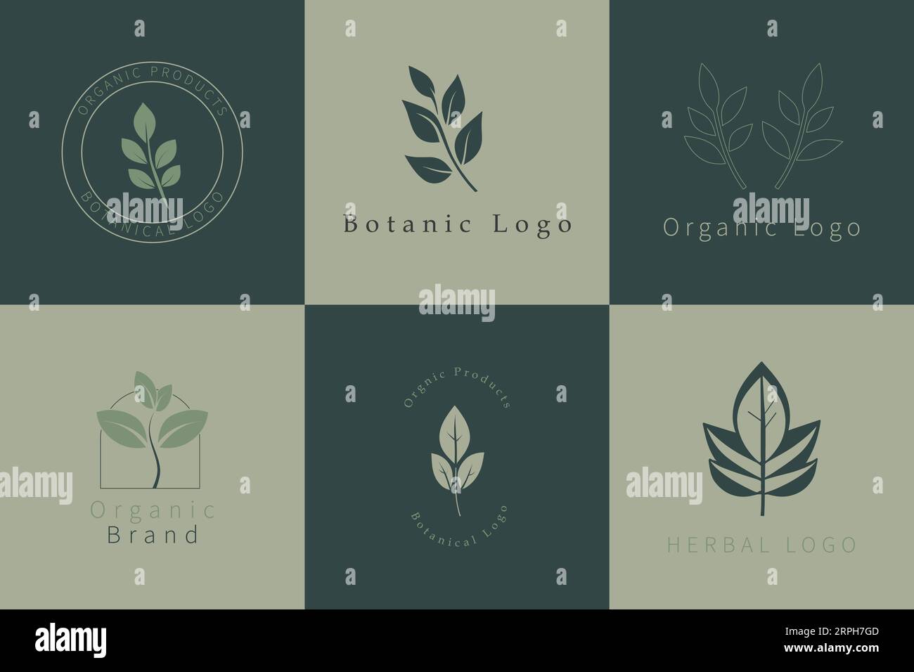 Botanic Logo Collection Stock Vector Image & Art - Alamy