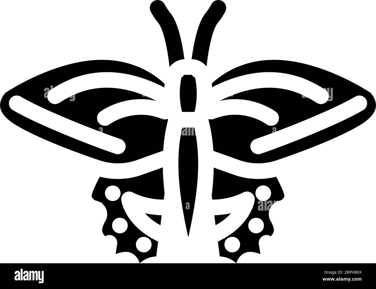 Green swallowtail butterfly Black and White Stock Photos & Images - Alamy