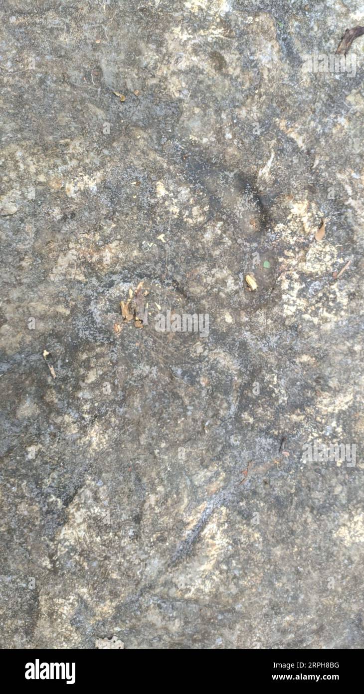 Face on stone hi-res stock photography and images - Alamy