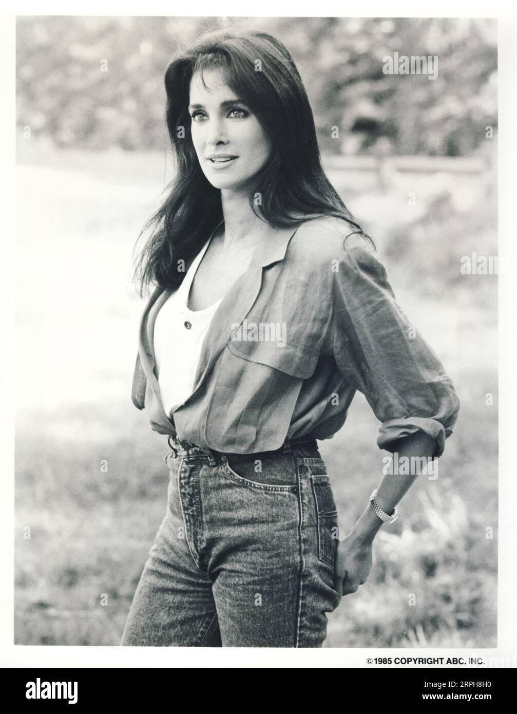 HOTEL TV Series JAMES BROLIN Connie Sellecca Stock Photo - Alamy