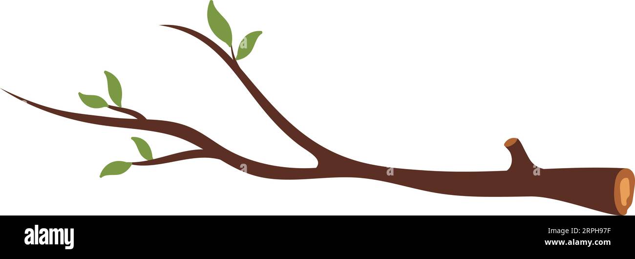 Tree branch with green leaves. Cartoon natural plant Stock Vector Image ...