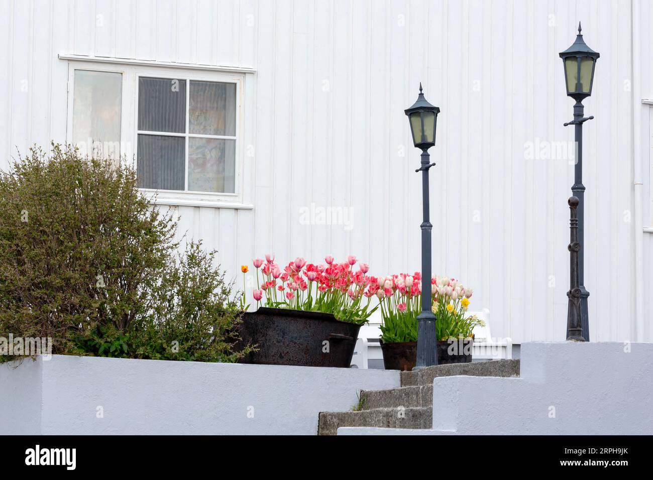 Ballstad fishing village, Lofoten Islands, Nordland County, Norway ...