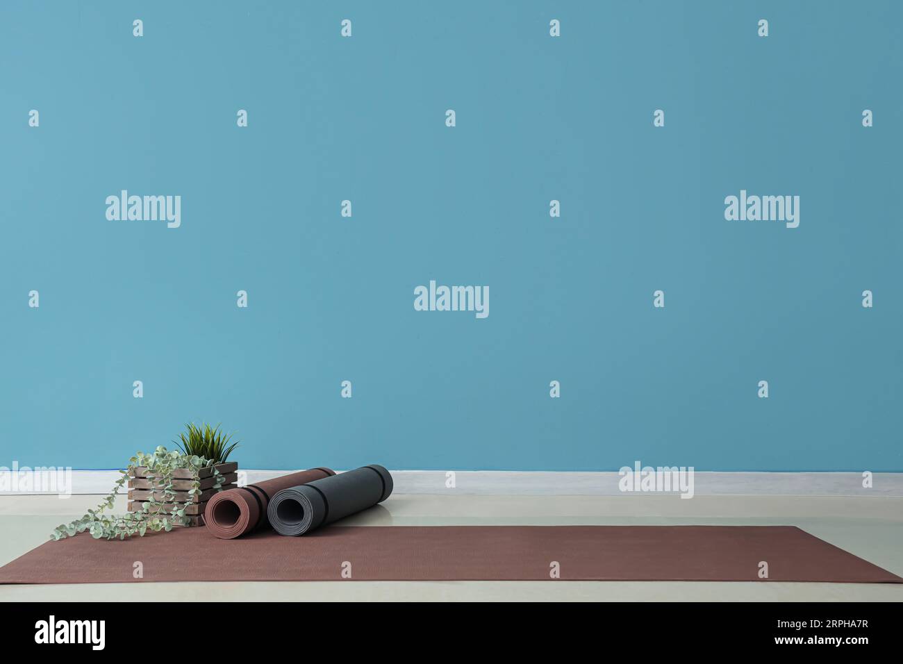 Fitness mats with plant near blue wall in gym Stock Photo - Alamy