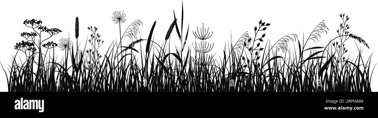Wild grass black silhouette. Meadow horizontal silhouette Stock Vector ...