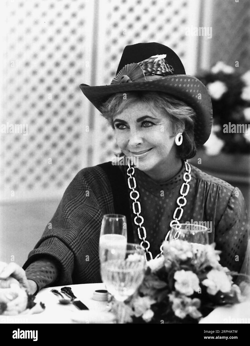 HOTEL TV Series JAMES BROLIN Connie Sellecca Stock Photo - Alamy